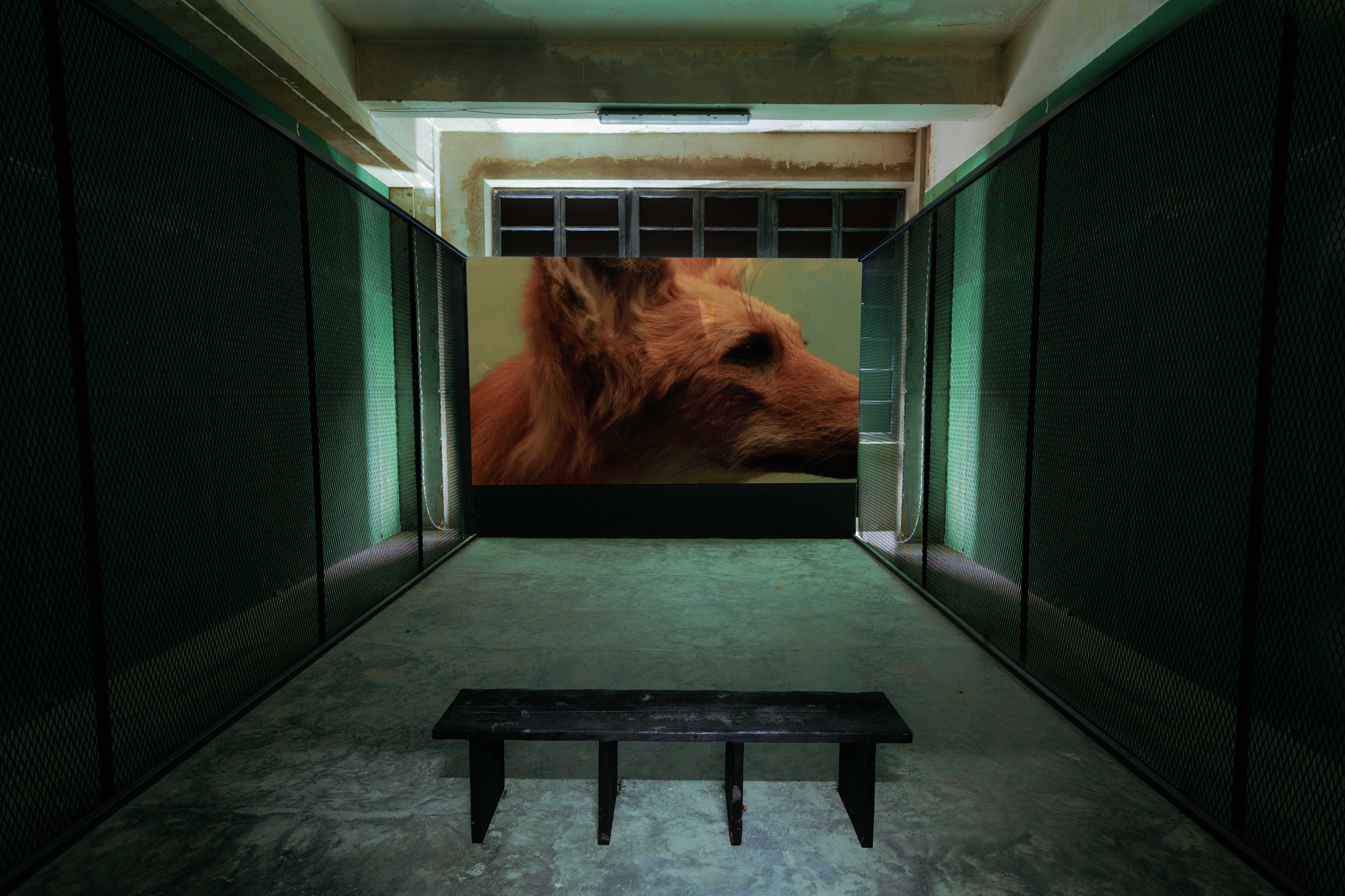 The D Block | beyond | stambahotel.com